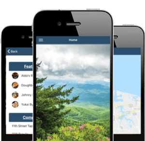 Mile High Swinging Bridge | High Country Visitor's Guide